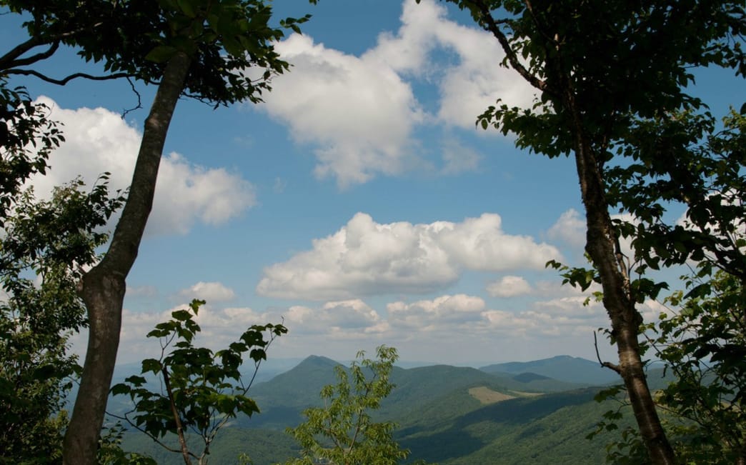 Hiking Elk Knob State Park | Frugal Backpacker